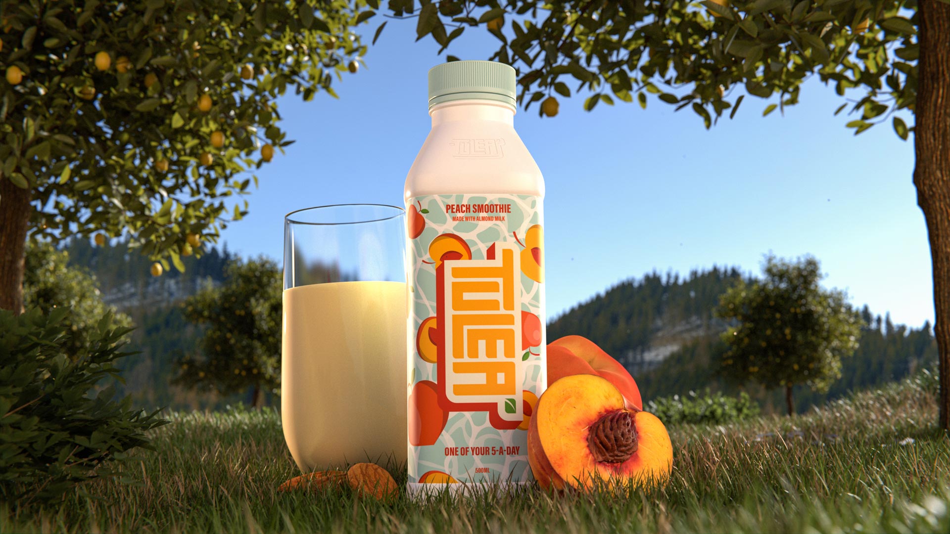 Logo & Brand Identity - Welsford Design